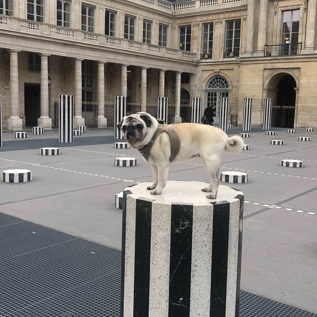 Alice Corner – Carlin in Paris – Unemployed and Traveling