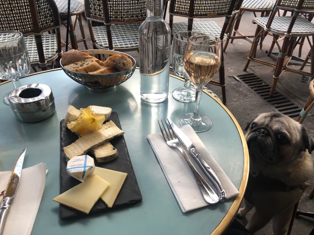 Alice Corner – Carlin in Paris – Unemployed and Traveling