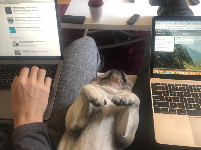 Alice Corner – Carlin in Paris – Unemployed and Traveling